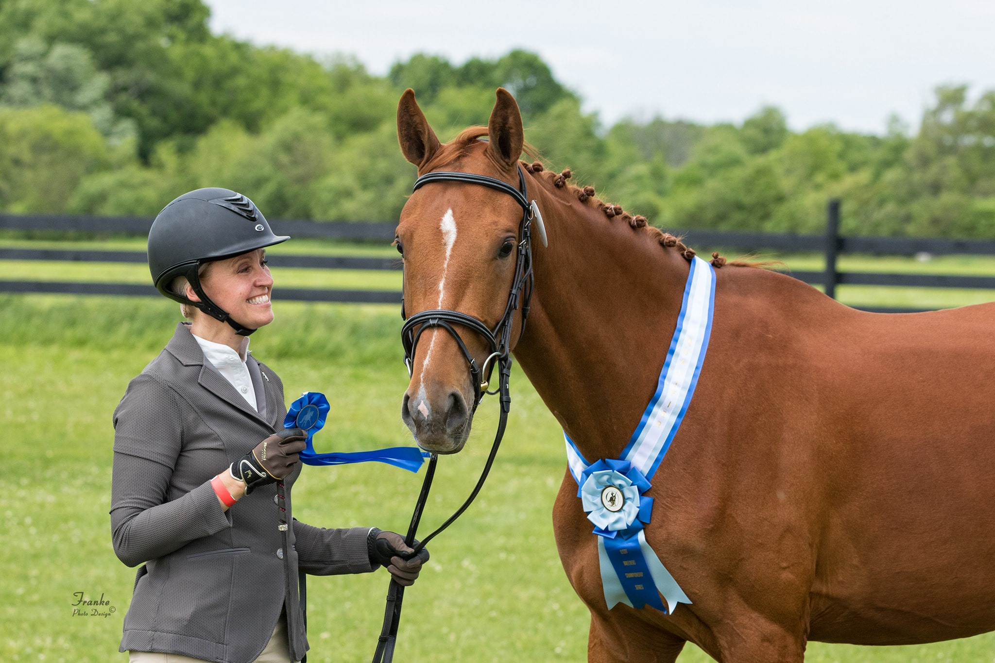 Performance Horses | Norwegian Hill Farm